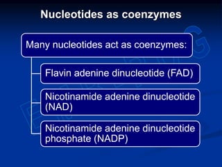 Chemistry of nucleotides | PPTX