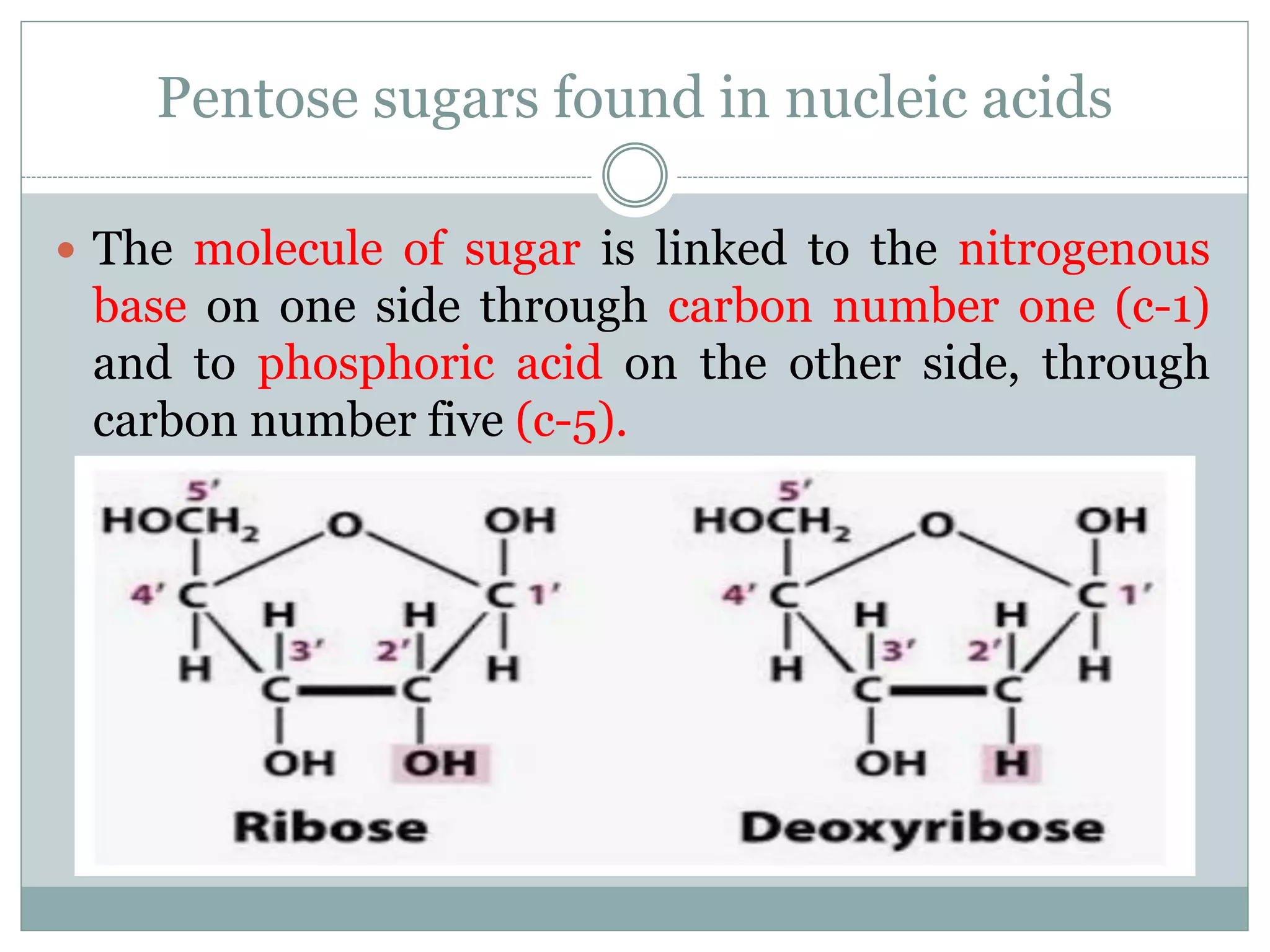 Chemistry of nucleotides.pdf