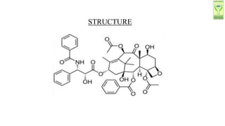 CHEMISTRY OF PACLITAXEL( NATURAL CHEMISTRY).pptx