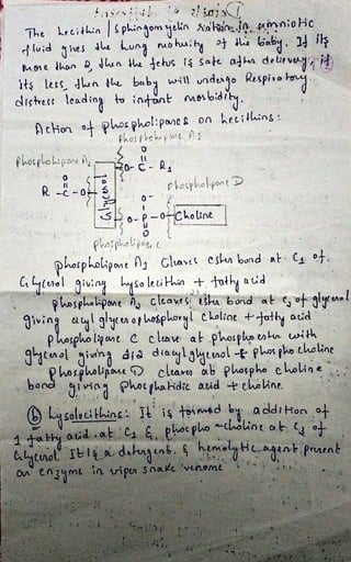 Chemistry of phospholipids with diagram.pdf