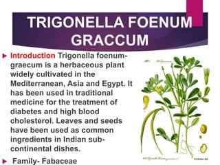 CHEMISTRY OF PLANT PRODUCTS UNIT 4 .pptx