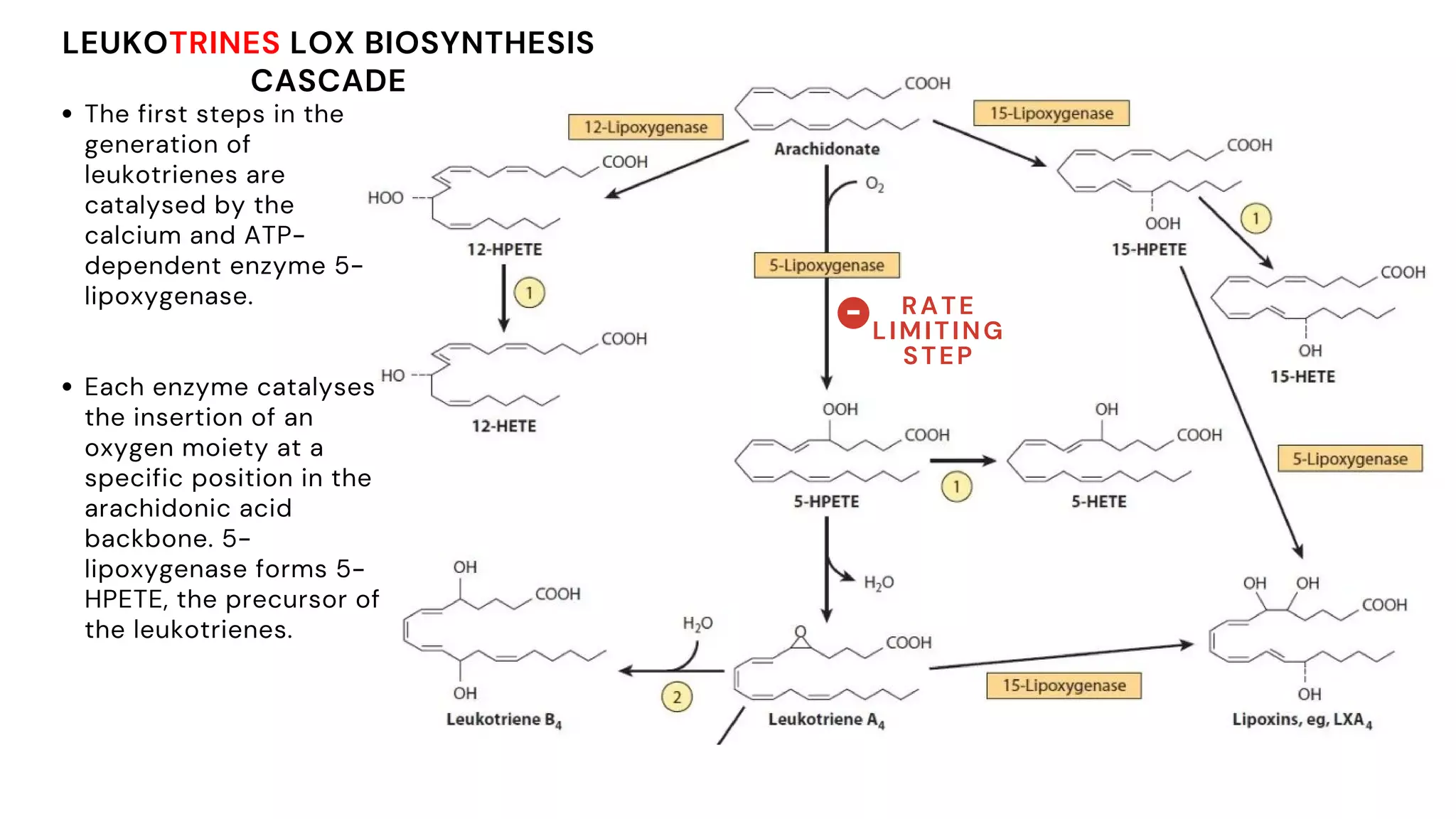 Chemistry of prostaglandins, leukotrienes and thromboxanes | PDF