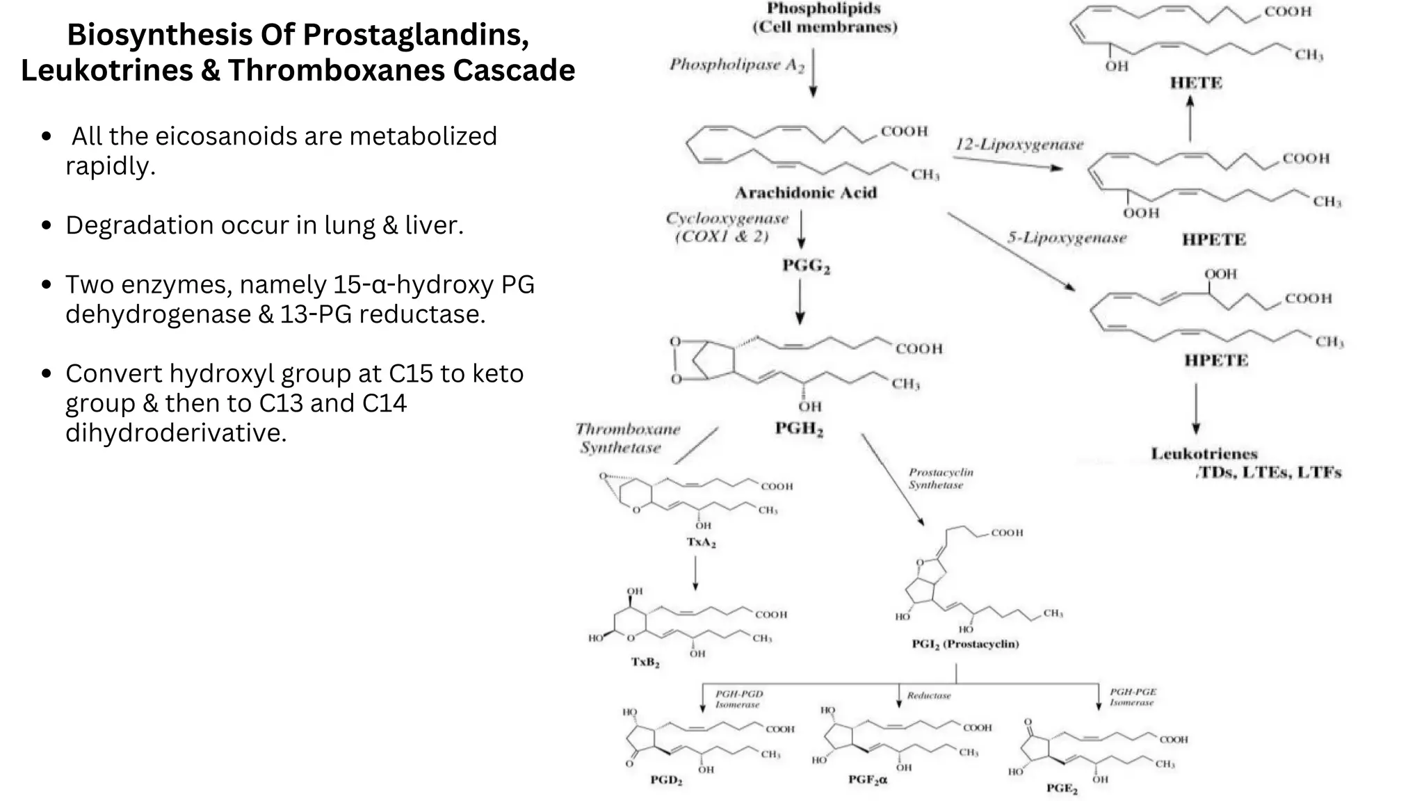 Chemistry of prostaglandins, leukotrienes and thromboxanes | PDF