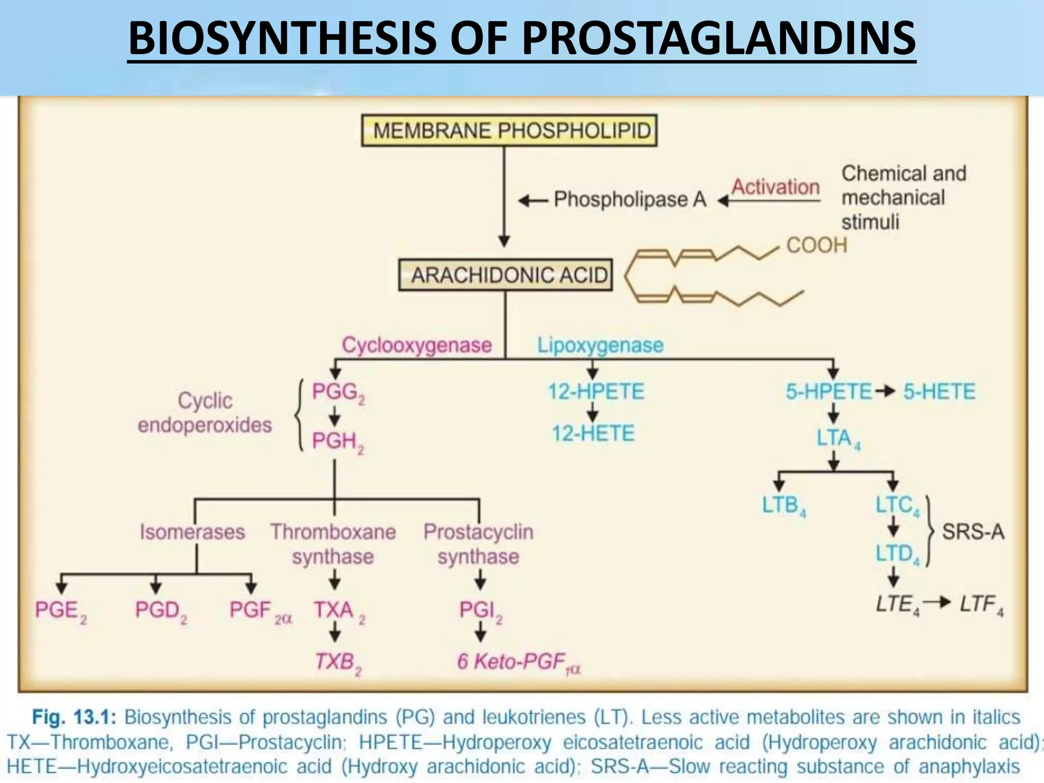 Chemistry of Prostaglandins, leukotrienes and thromboxanes(Advance ...