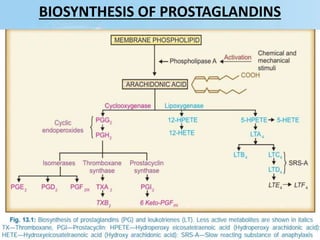 Chemistry of Prostaglandins, leukotrienes and thromboxanes(Advance ...