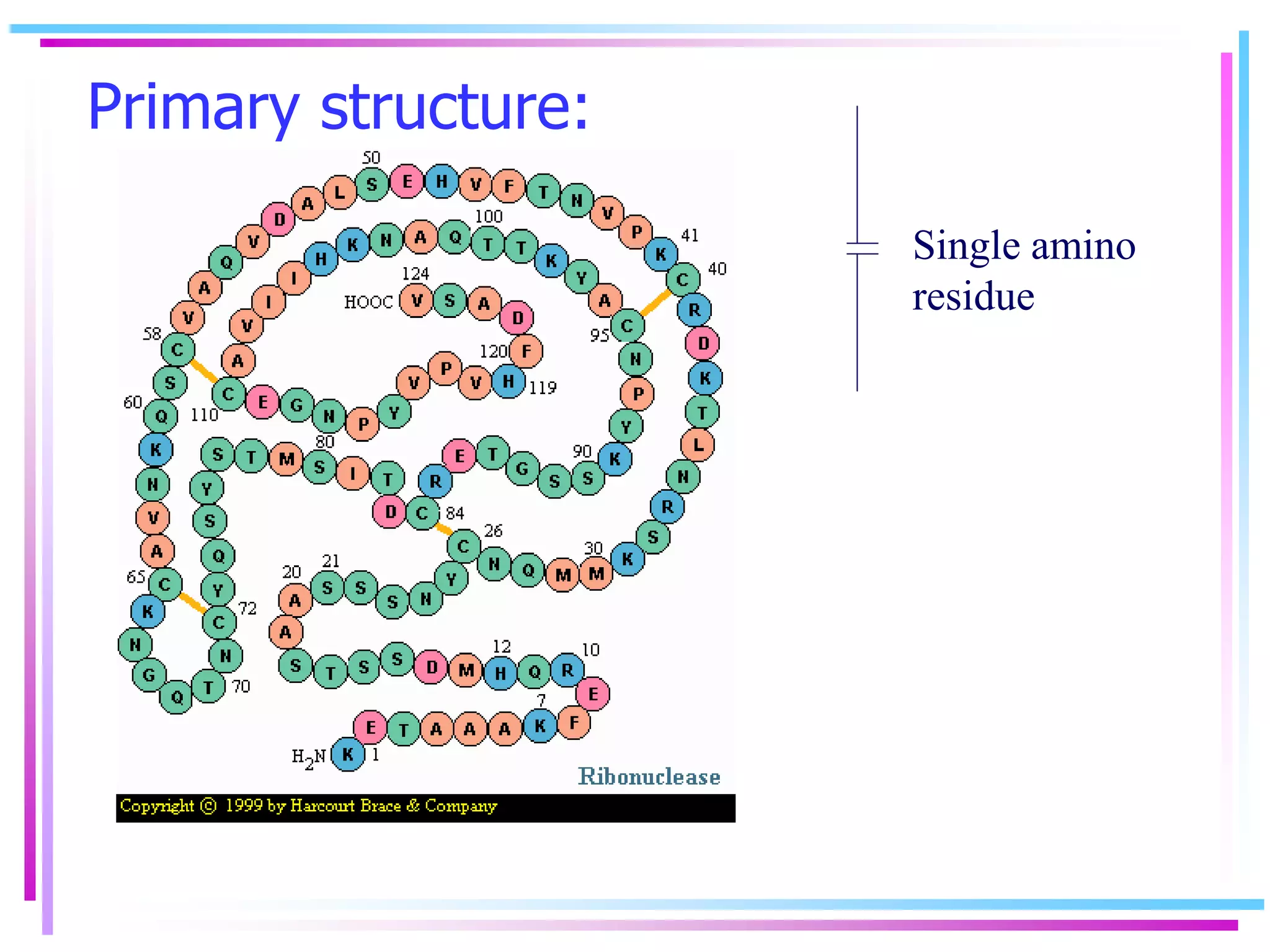 chemistry of protein.ppt