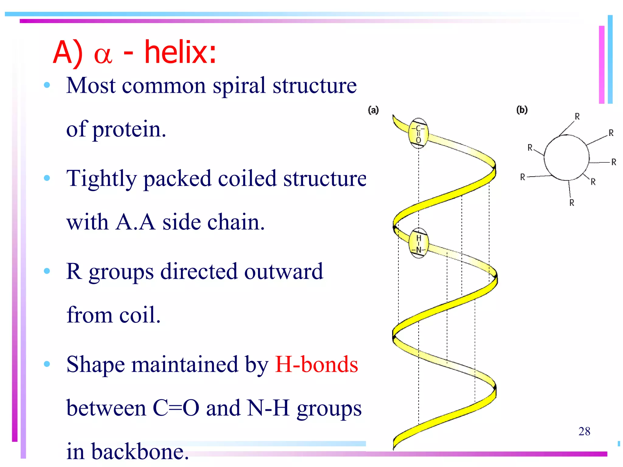 chemistry of protein.ppt
