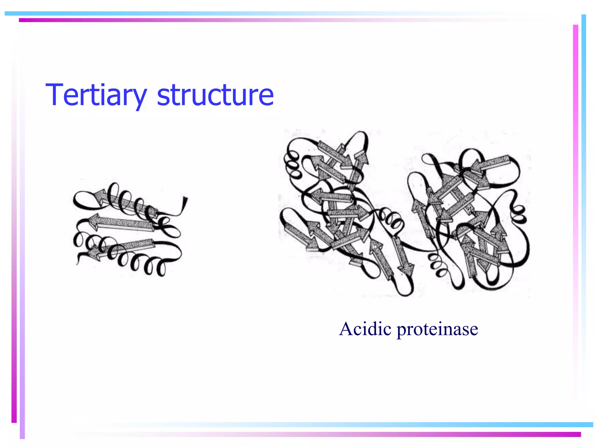 chemistry of protein.ppt