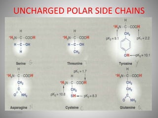 Chemistry of protein and Amino Acids.pptx