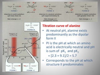 Chemistry of protein and Amino Acids.pptx