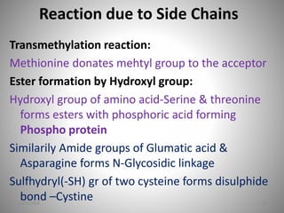 Chemistry of protein and Amino Acids.pptx