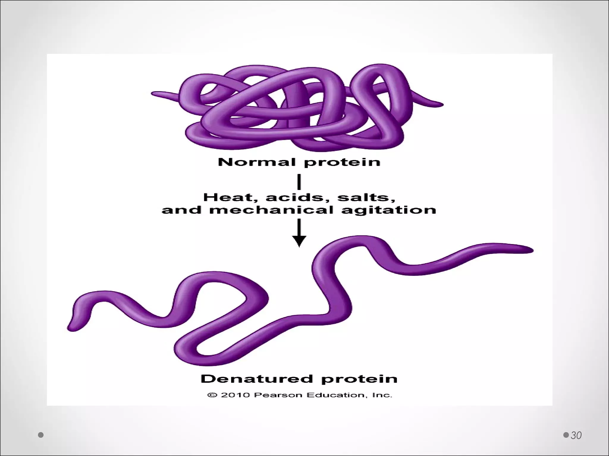 Chemistry of protein | PPT