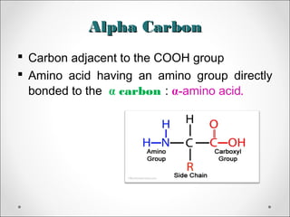 Chemistry of protein | PPT