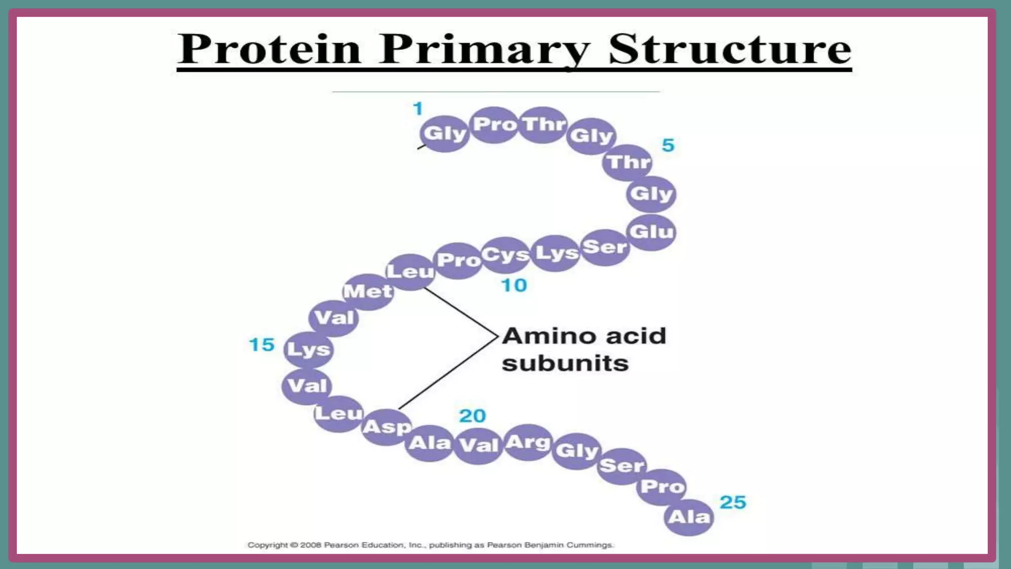 Chemistry of proteins, primary structure, secondary structure,alpha ...