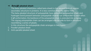 Chemistry of proteins, primary structure, secondary structure,alpha ...