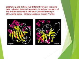 CHEMISTRY OF PROTEINS.pdf