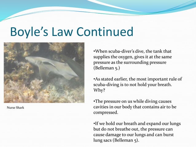 Chemistry of scuba diving ppt | PPTX | Lung and Respiratory Health ...