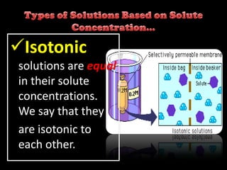 Types Of Solution Chemistry