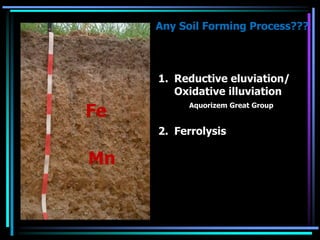 Chemistry of submerged soils | PPTX