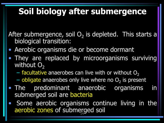 Chemistry of submerged soils | PPTX