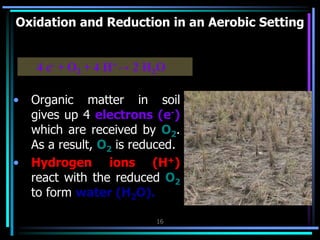 Chemistry of submerged soils | PPTX