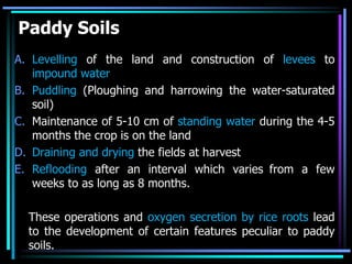 Chemistry of submerged soils | PPTX
