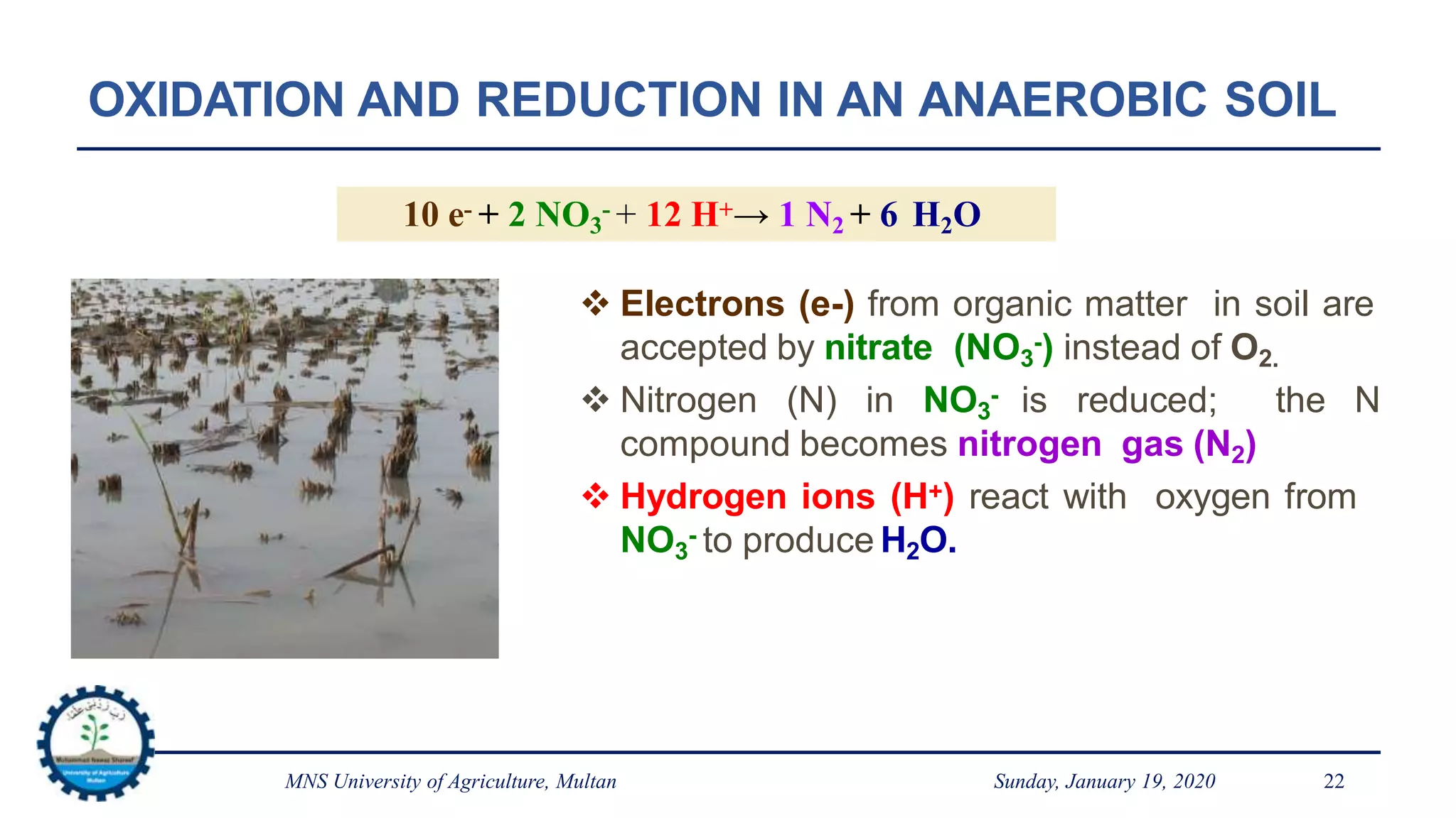 Chemistry of Submerged Soils | PDF
