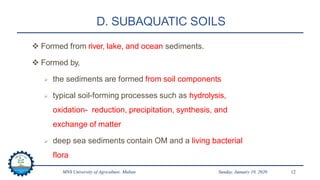 Chemistry of Submerged Soils | PDF
