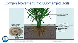 Chemistry of Submerged Soils | PDF