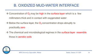 Chemistry of Submerged Soils | PDF