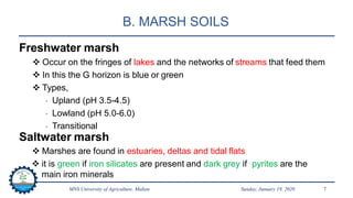 Chemistry of Submerged Soils | PDF