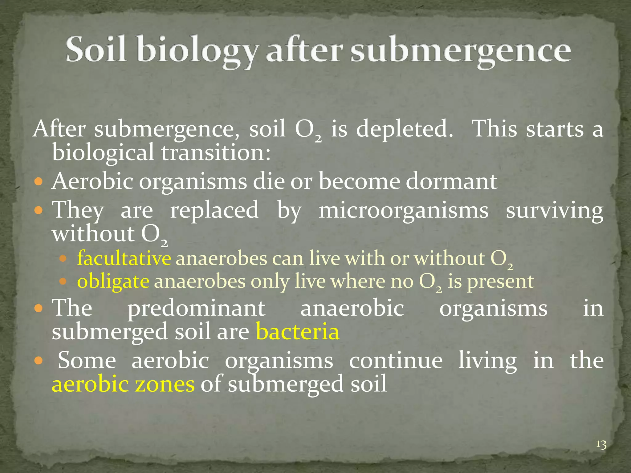Chemistry of submerged soils re | PPTX