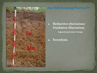 Chemistry of submerged soils re | PPTX