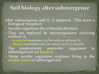 Chemistry of submerged soils re | PPTX