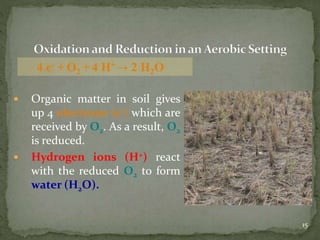 Chemistry of submerged soils re | PPTX