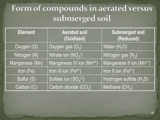 Chemistry of submerged soils re | PPTX | Gardening | Home & Garden