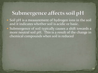 Chemistry of submerged soils re | PPTX | Gardening | Home & Garden
