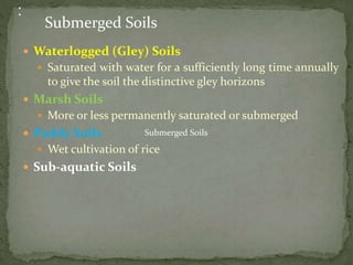 Chemistry of submerged soils re | PPTX