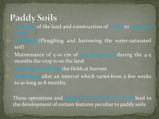 Chemistry of submerged soils re | PPTX