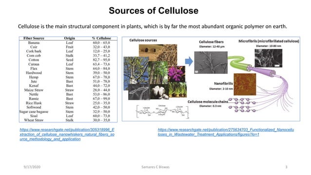 Chemistry of the viscose process 1 | PDF