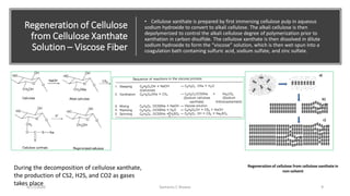 Chemistry of the viscose process 1 | PDF