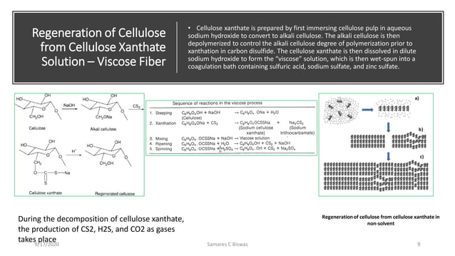 Chemistry of the viscose process 1 | PDF