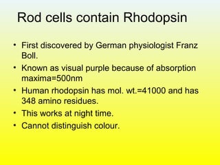 Chemistry of vision | PPT