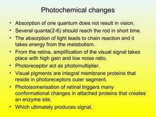 Chemistry of vision | PPT