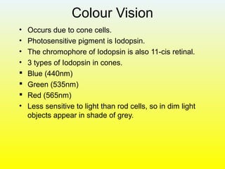 Chemistry of vision | PPT