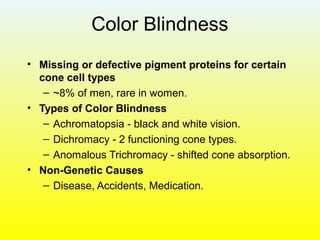 Chemistry of vision | PPT
