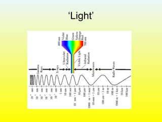 Chemistry of vision | PPT