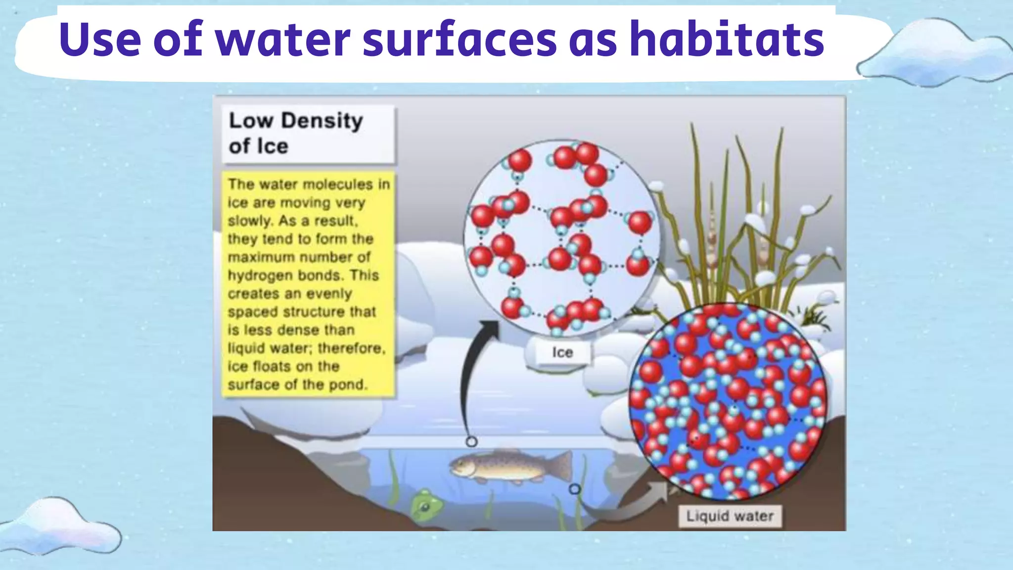 chemistry of water.pptx