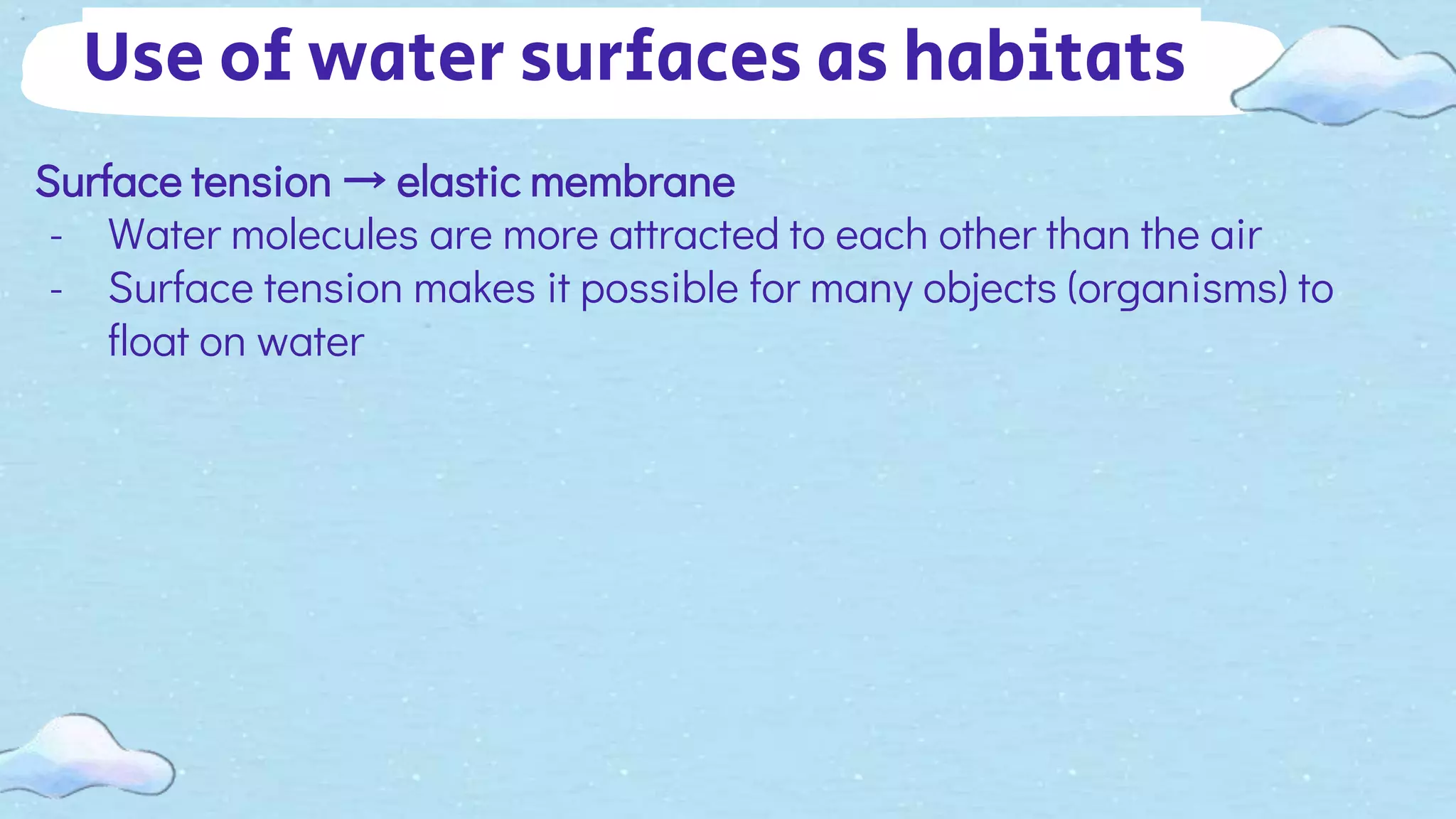 chemistry of water.pptx