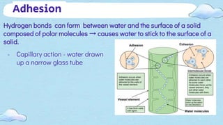chemistry of water.pptx